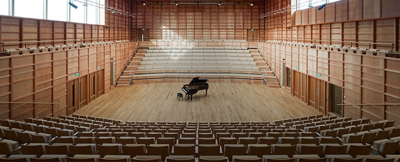 Acoustic Doors For Theatres & Concert Halls | Enfield Doors